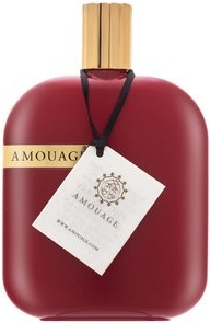 Amouage Library collection opus IX EDP 100 ml hind | Hind.ee